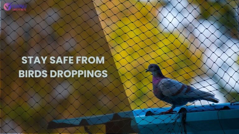 Tips to protect your health from birds’ droppings through safety nets ...